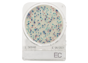 Chromogenic selective media for E coli testing | Shimadzu