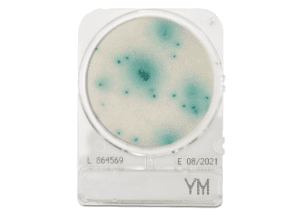 Efficient TVC Bacteria Testing with CompactDry TCR media plates | Shimadzu