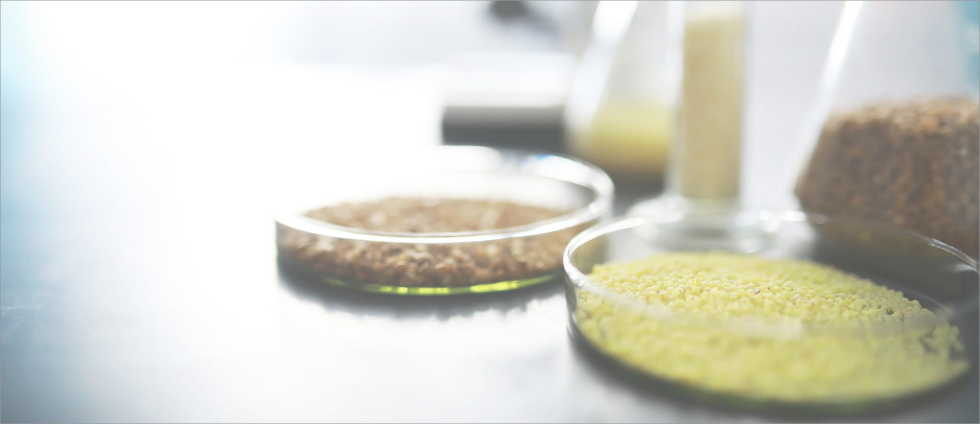 Food Safety Testing Kit to Detect Bacterial Contamination