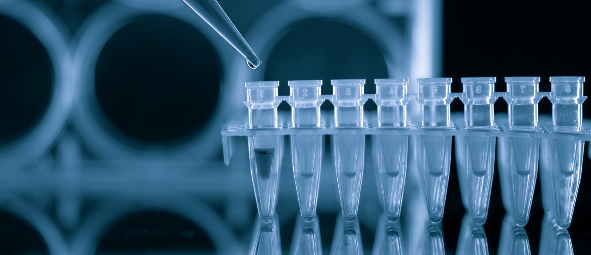 Solutions for Microbial contamination test in pharmaceuticals